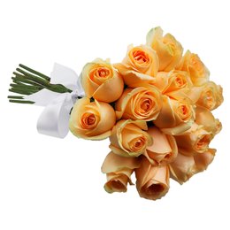 Rosas Champanhe: Preços Imperdíveis | Giuliana Flores